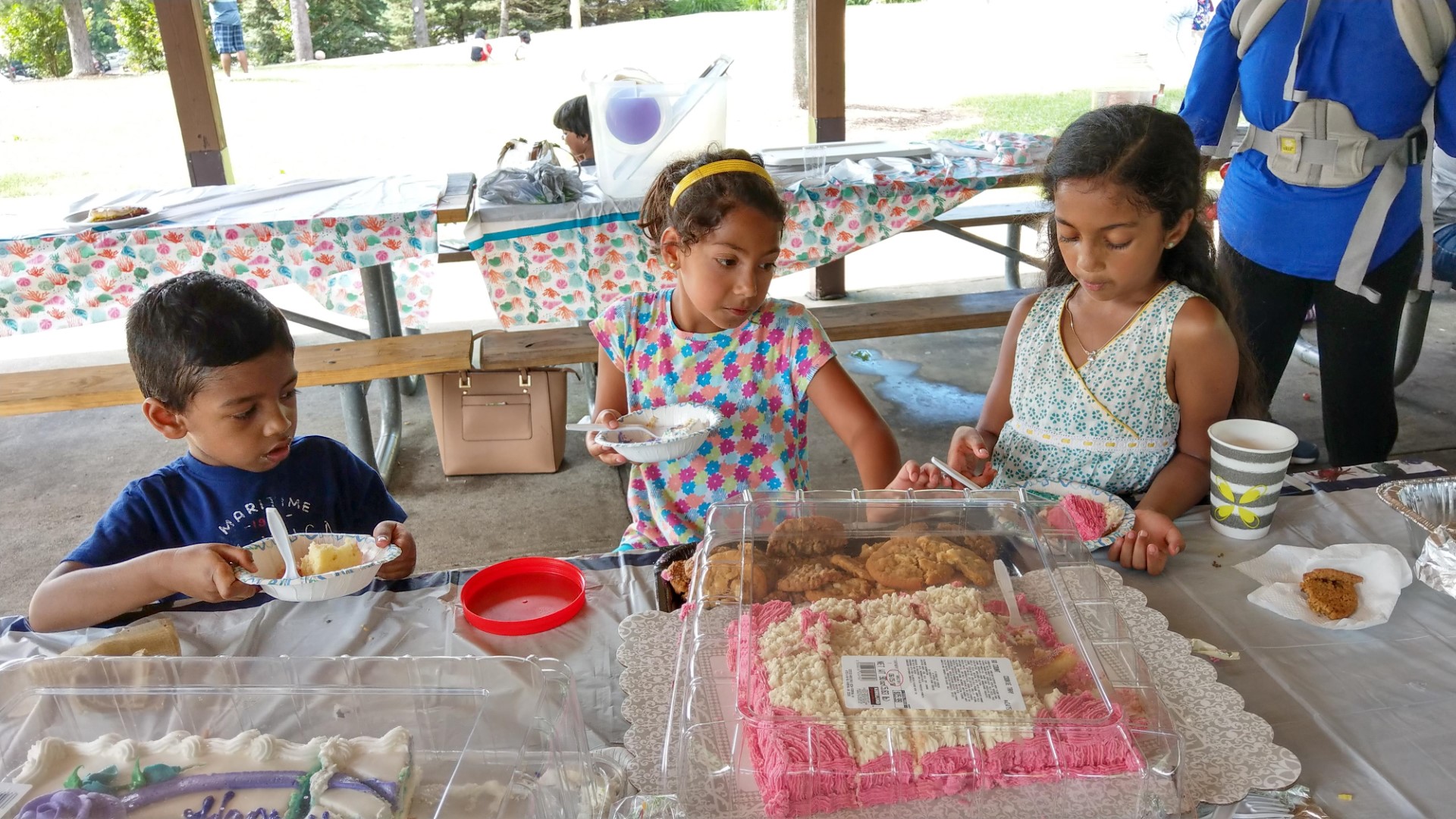 MEDIA GALLERY / PHOTOS: Annual Picnic 2018